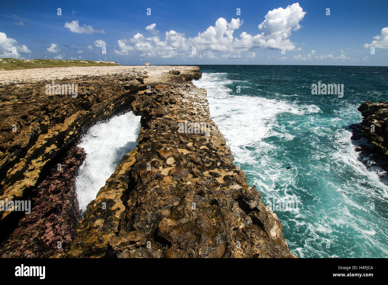 Devil's Bridge coastal rock formation in Antigua Stock Photo - Alamy