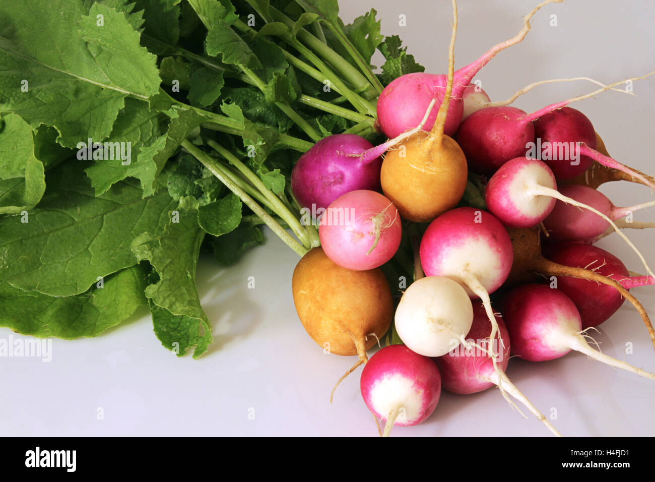 Fresh multi-coloured radish on white background Stock Photo - Alamy