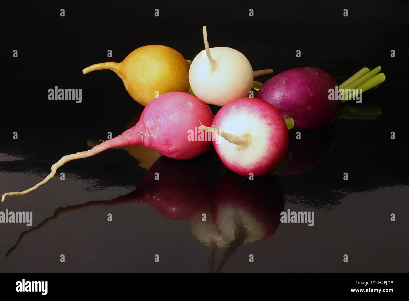 Fresh multi-coloured radish on black background Stock Photo - Alamy