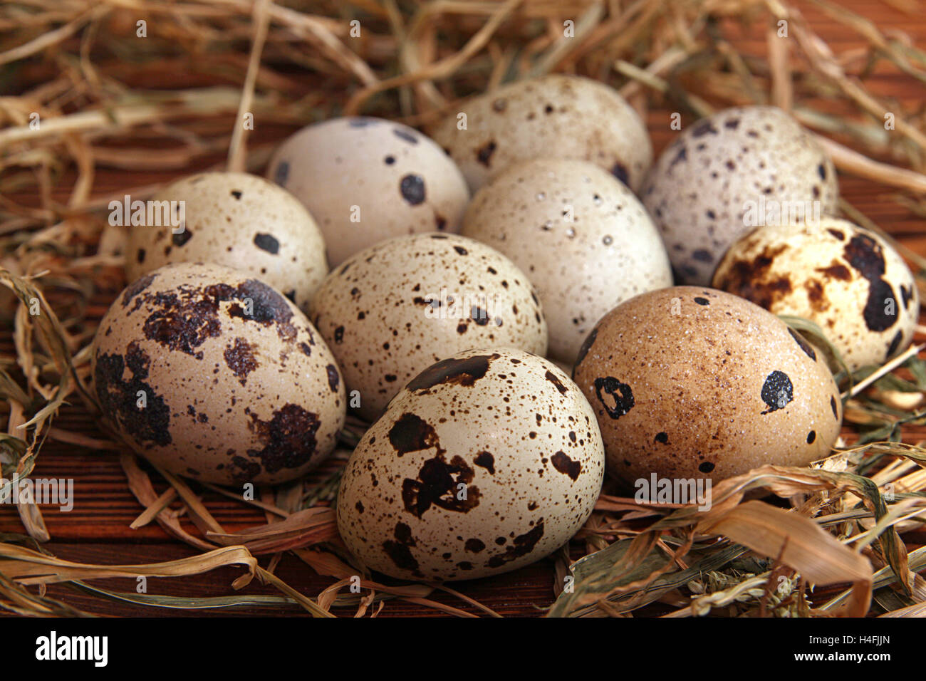 Quail eggs. Rustic style Stock Photo - Alamy