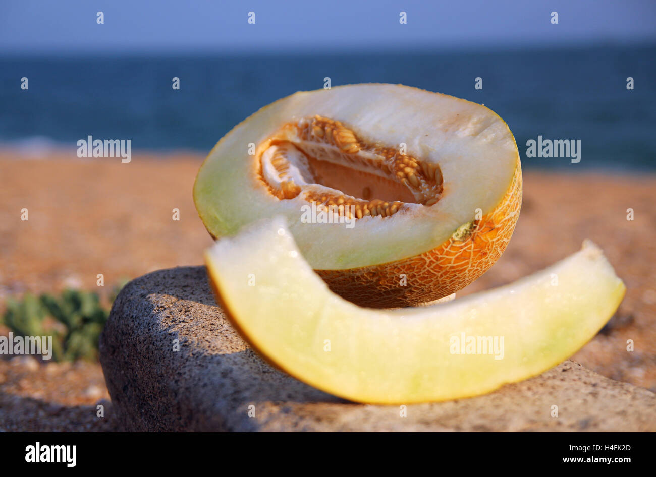 Half of melon and slice of it on stone at beach against background sea ...