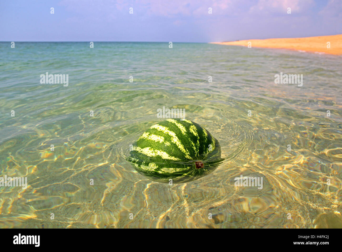 A watermelon floating in the sea. Beautiful blinks in the water around ...