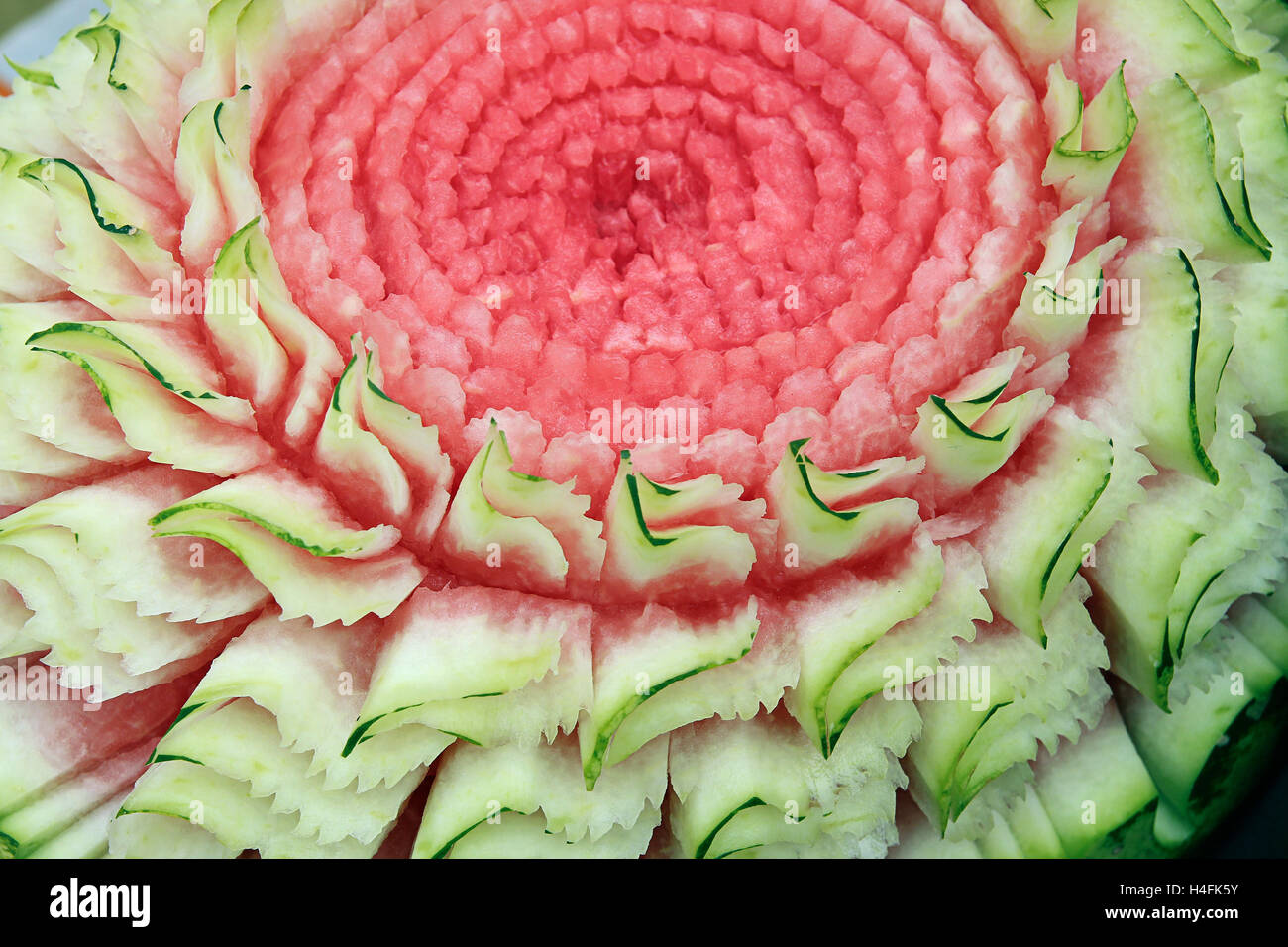 Watermelon roses hi-res stock photography and images - Alamy