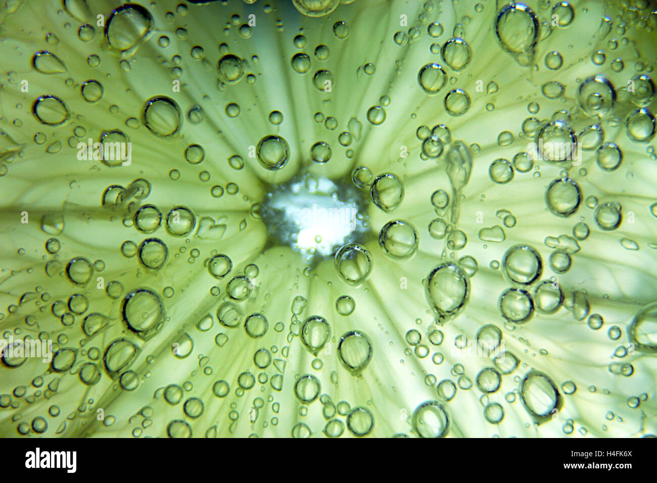 Slice of the lemon with bubbles close-up Stock Photo - Alamy