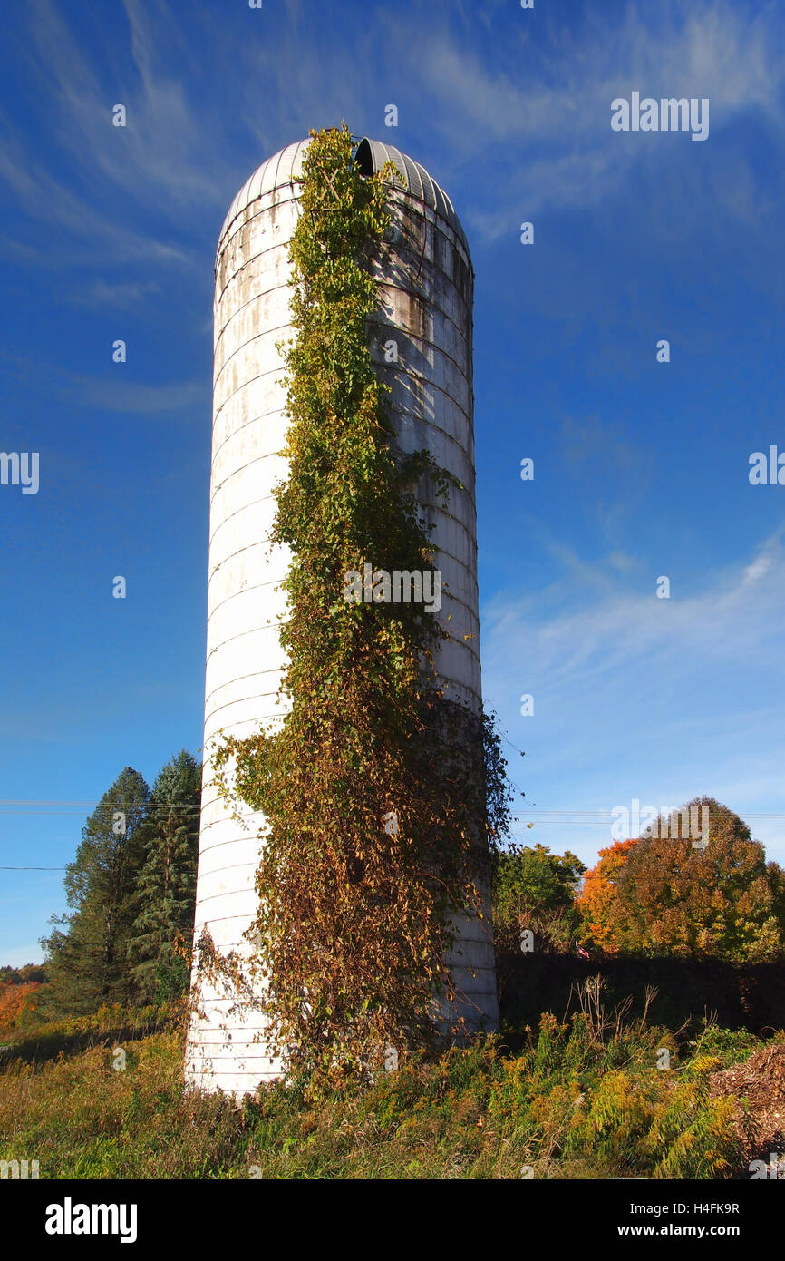 unused, old silo Stock Photo - Alamy