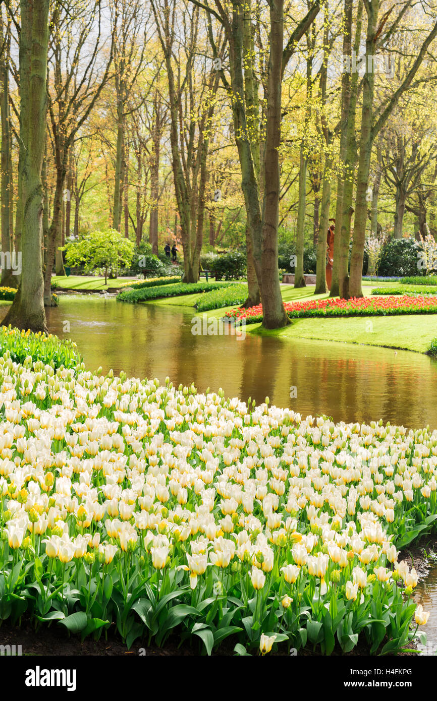 Spring pond in garden Stock Photo - Alamy