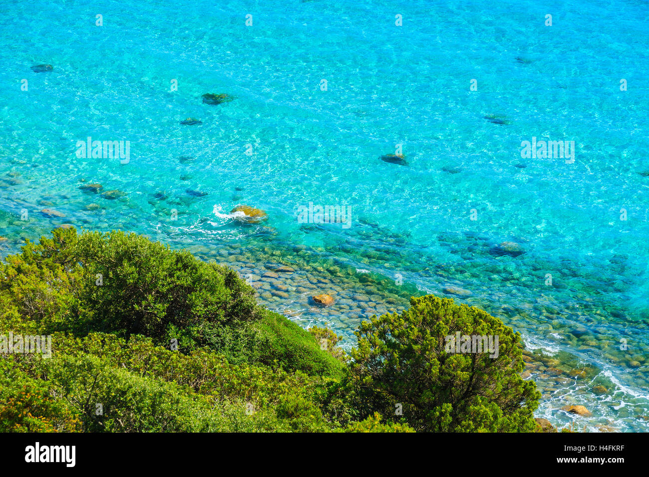 Turquoise sea and tropical plants on coast of Sardinia island, Italy ...