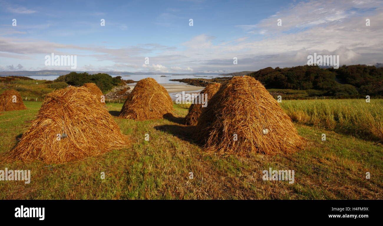 Back of keppoch hi-res stock photography and images - Alamy