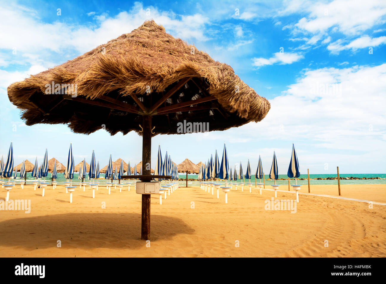 Palm parasol on the beach in a sunny day Stock Photo - Alamy