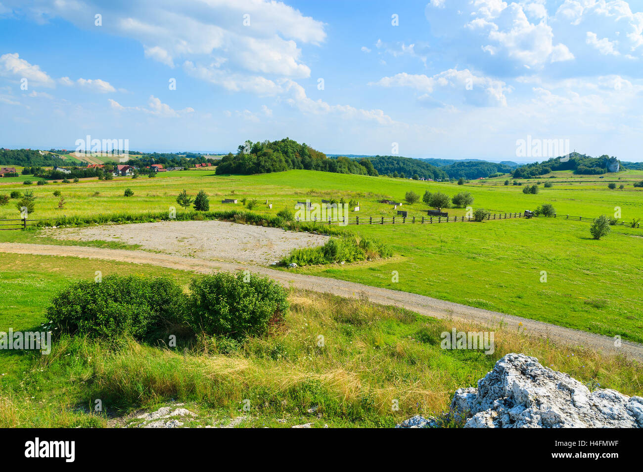 View of green fields in summer near Krakow, Poland Stock Photo - Alamy