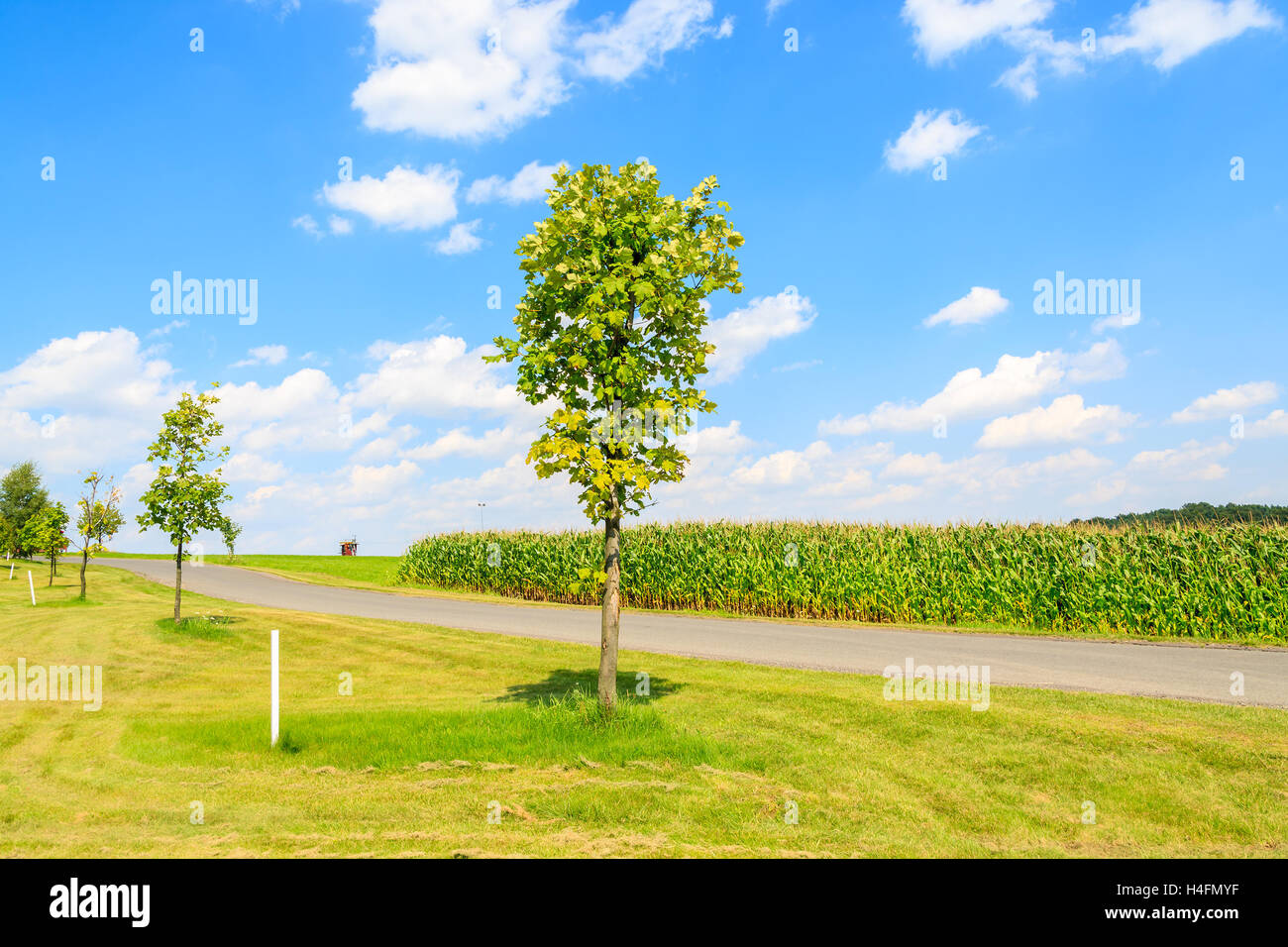 Playing field road hi-res stock photography and images - Alamy