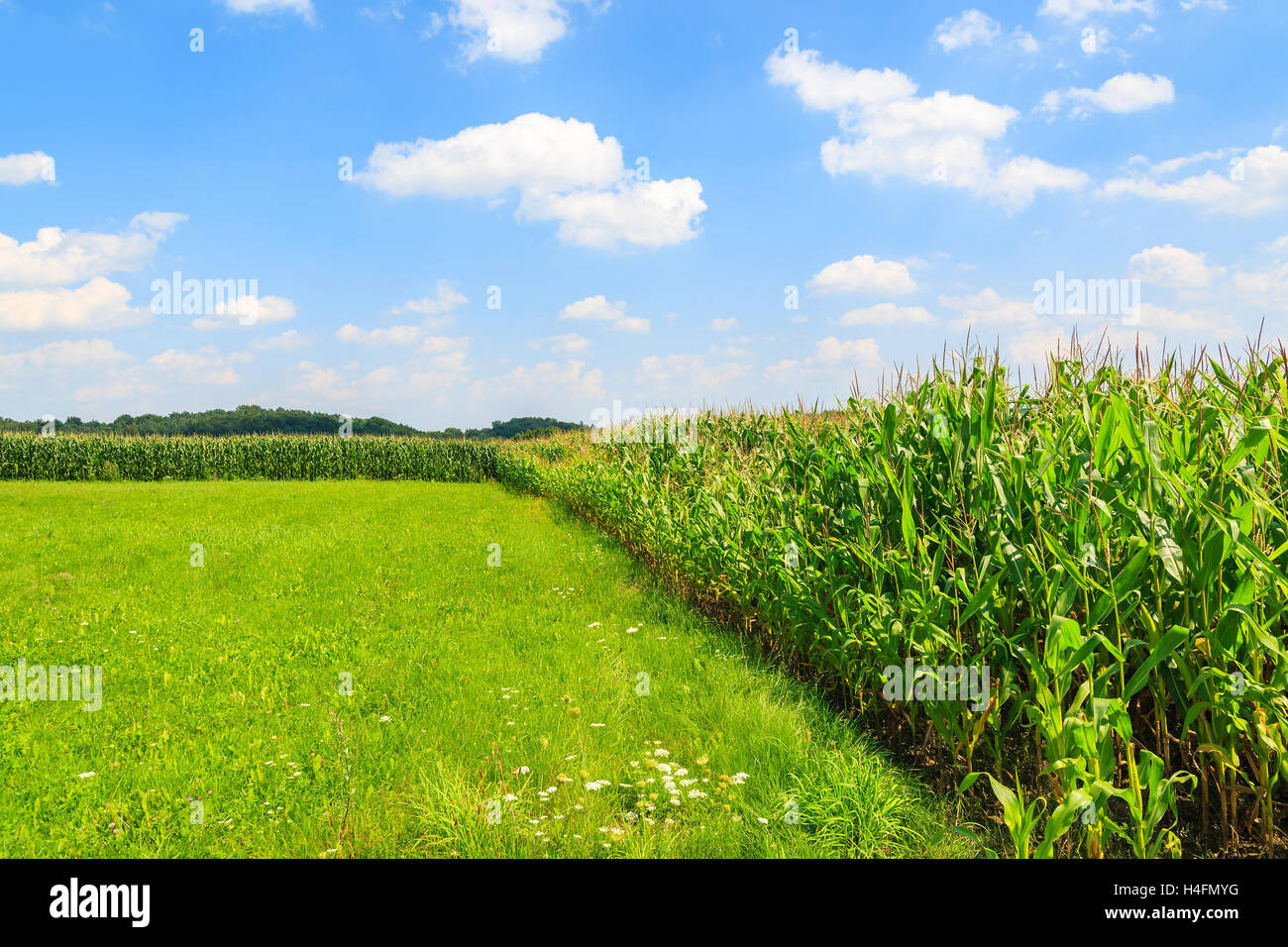 Day field hi-res stock photography and images - Alamy