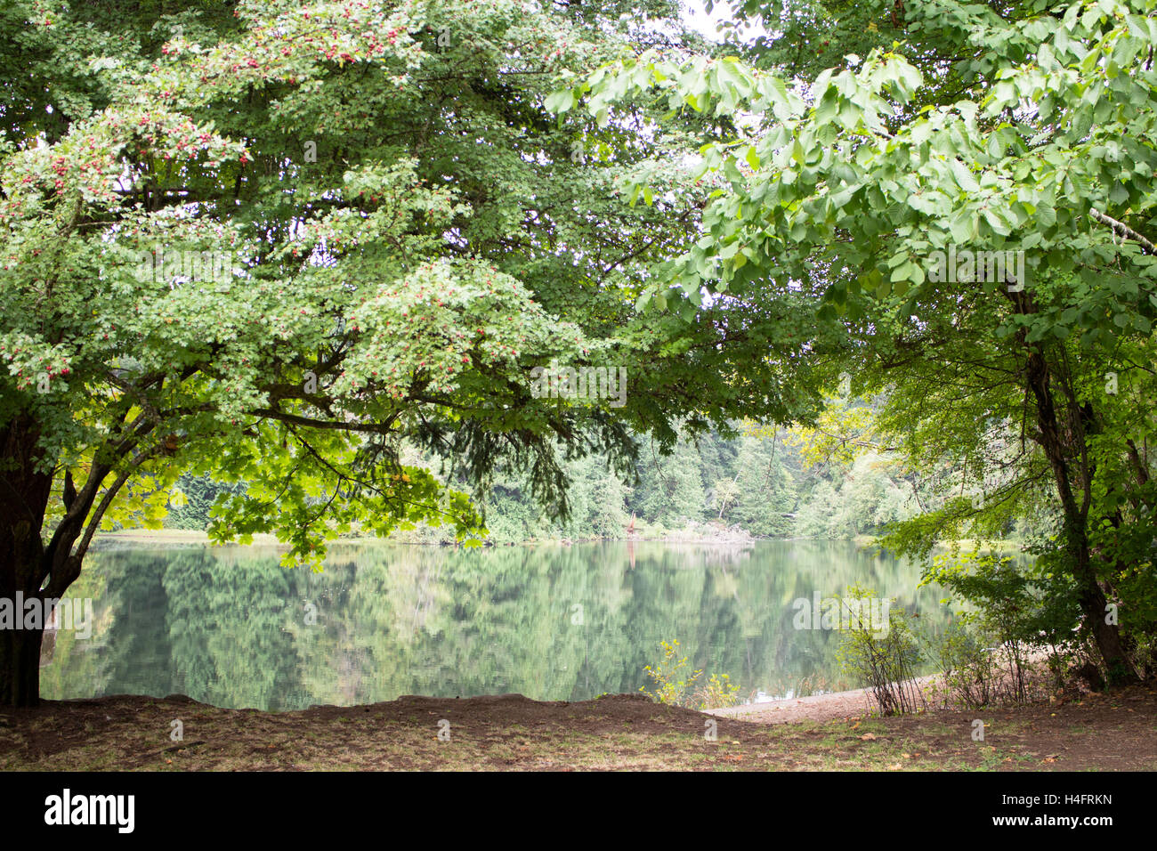 Outdoor framing hi-res stock photography and images - Alamy