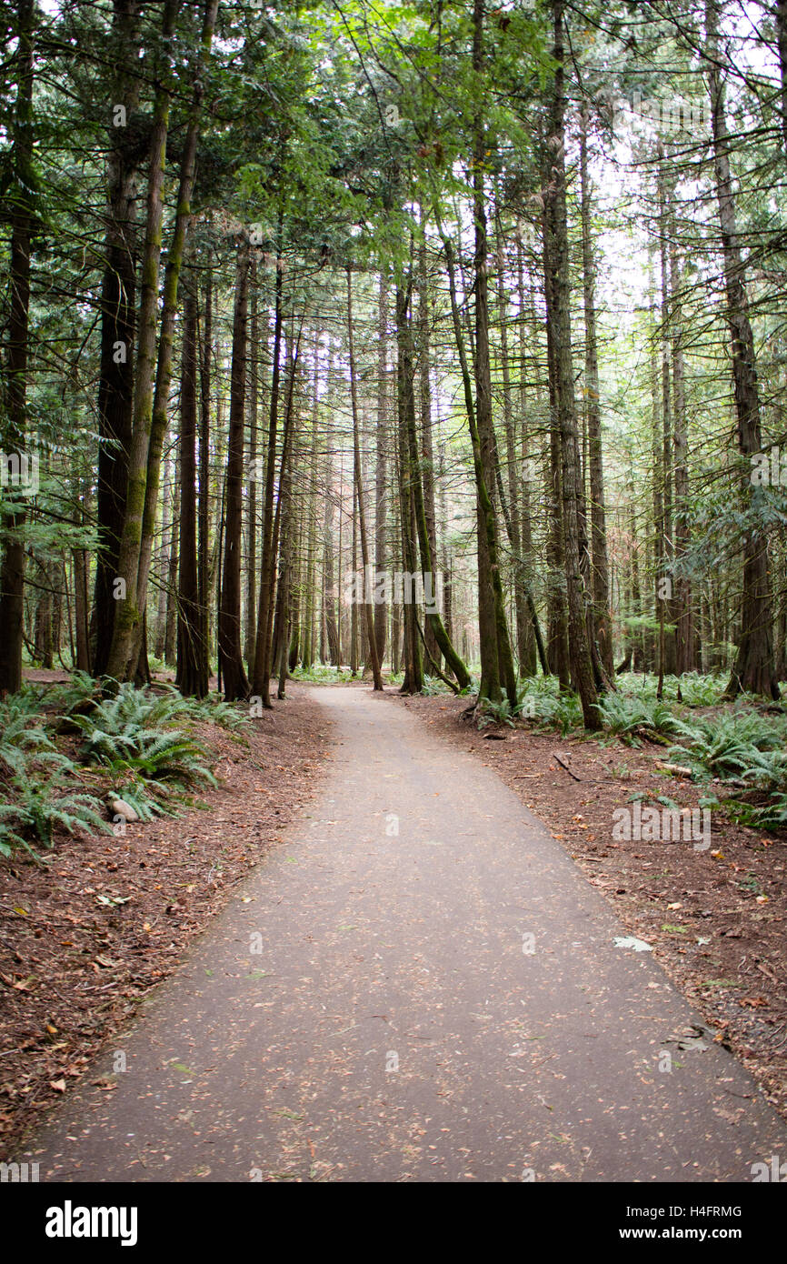 Endless trail hi-res stock photography and images - Alamy