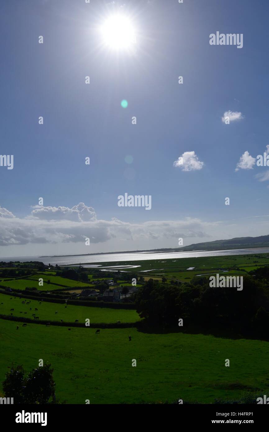 Sun high in the sky Stock Photo - Alamy
