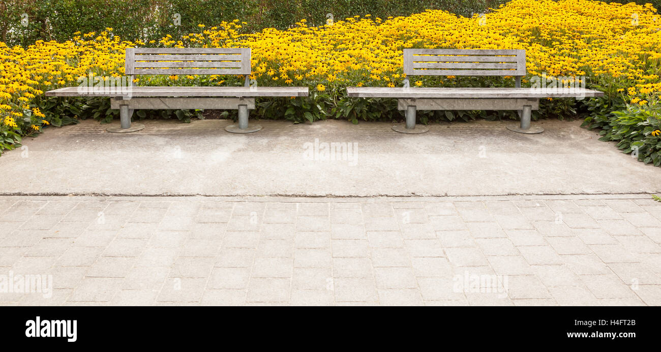 many flowers with two wooden benches in nature Stock Photo - Alamy