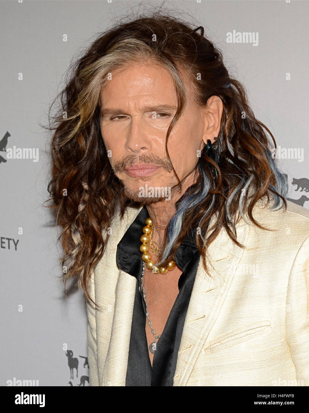 Steven Tyler High Resolution Stock Photography and Images - Alamy