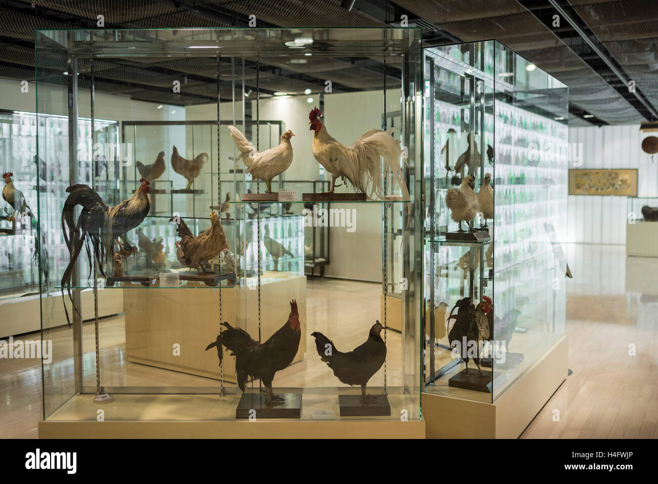 Food and Agriculture Museum, TOKYO UNIVERSITY OF AGRICULTURE, Setagaya ...
