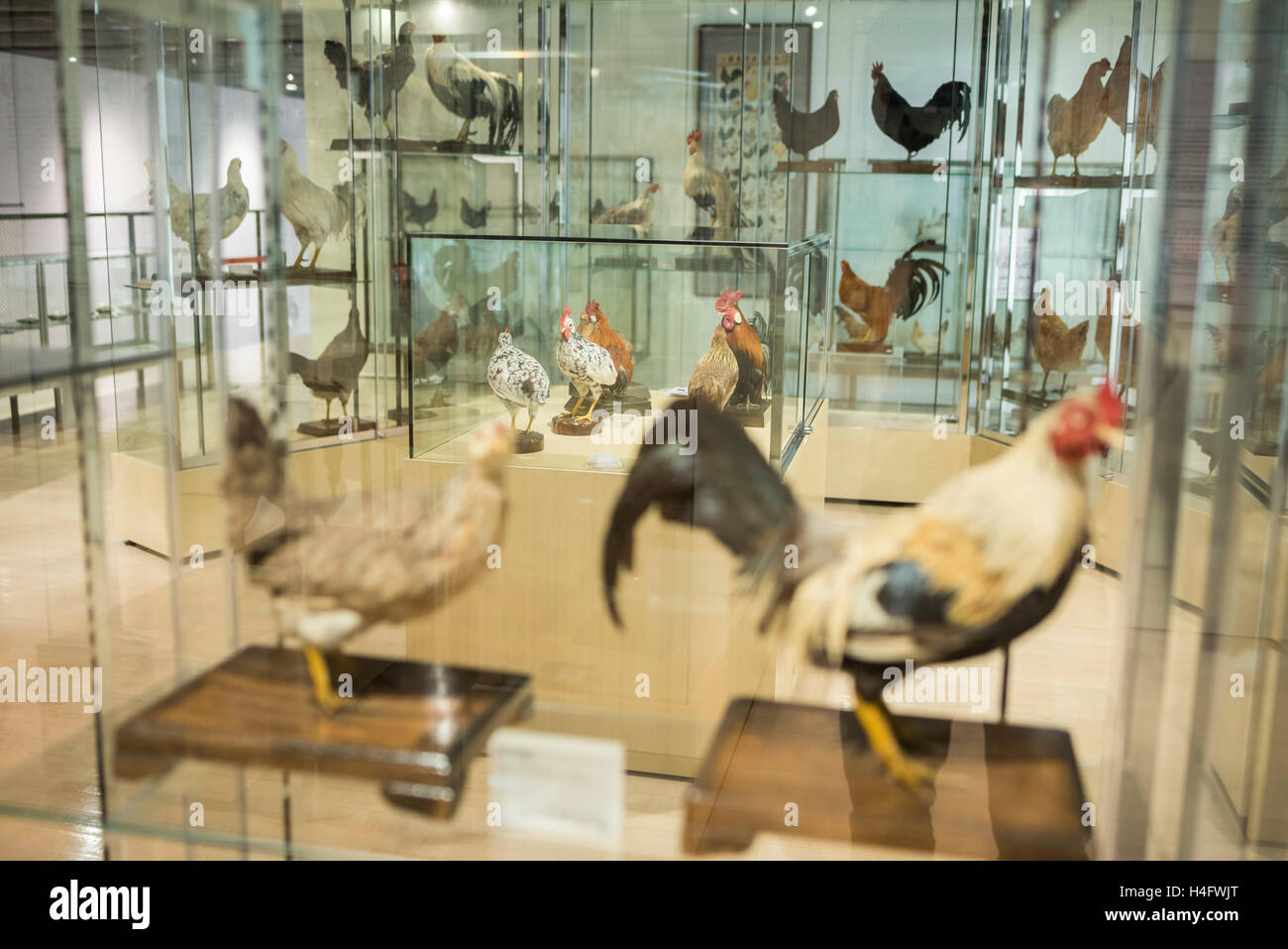 Food and Agriculture Museum, TOKYO UNIVERSITY OF AGRICULTURE, Setagaya ...