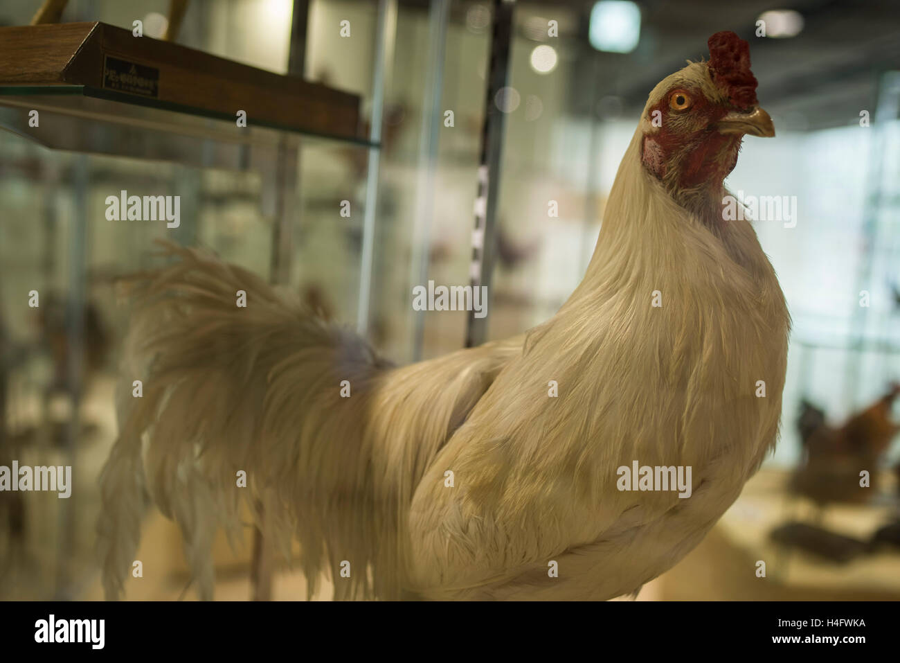 Food and Agriculture Museum, TOKYO UNIVERSITY OF AGRICULTURE, Setagaya ...