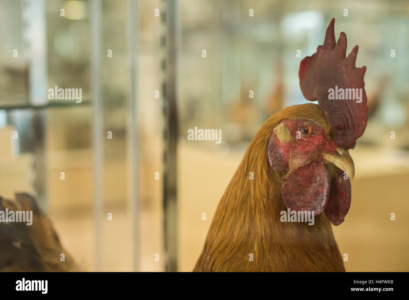 Food and Agriculture Museum, TOKYO UNIVERSITY OF AGRICULTURE, Setagaya ...