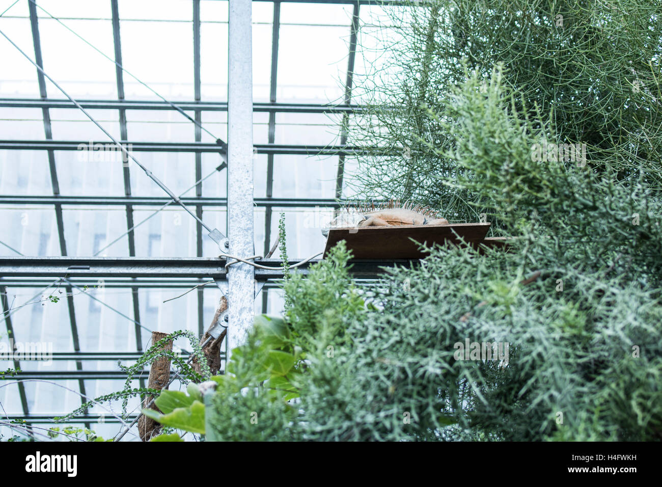Food and Agriculture Museum, TOKYO UNIVERSITY OF AGRICULTURE, Setagaya ...
