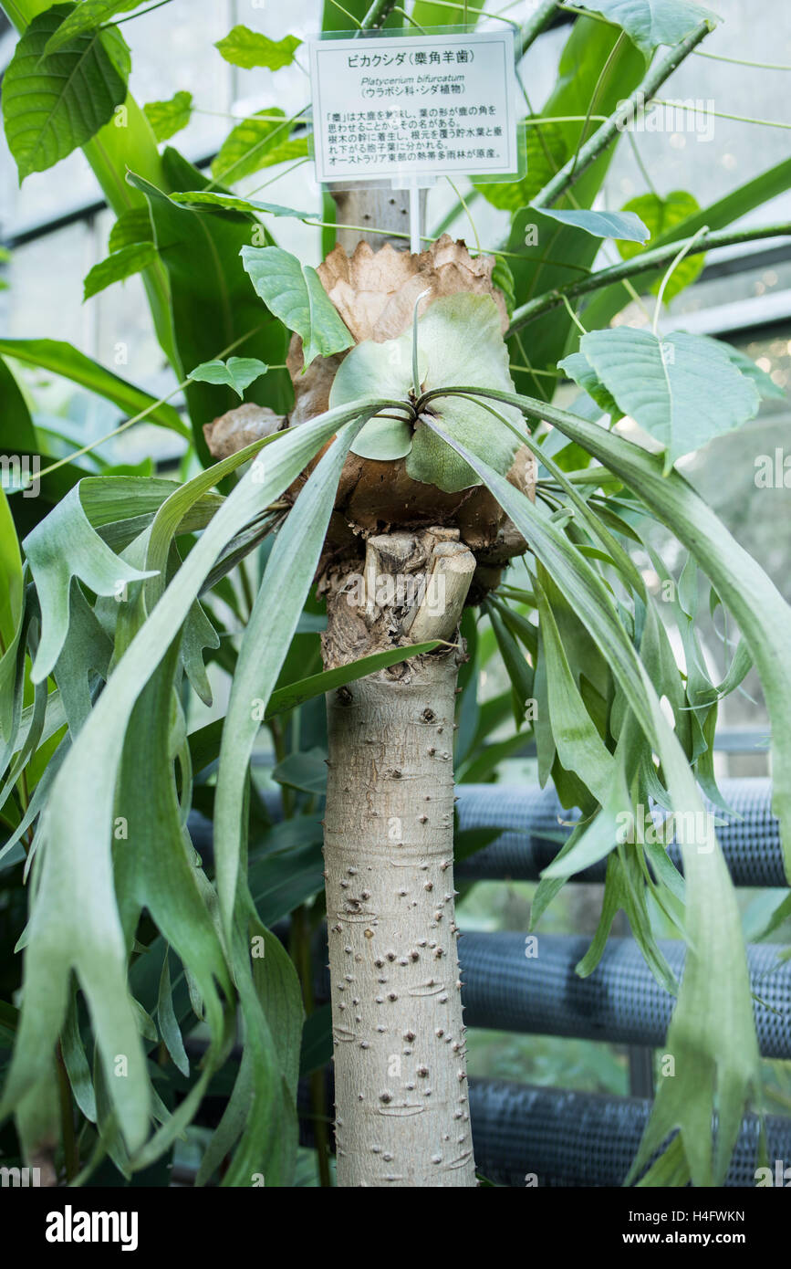 Food and Agriculture Museum, TOKYO UNIVERSITY OF AGRICULTURE, Setagaya ...