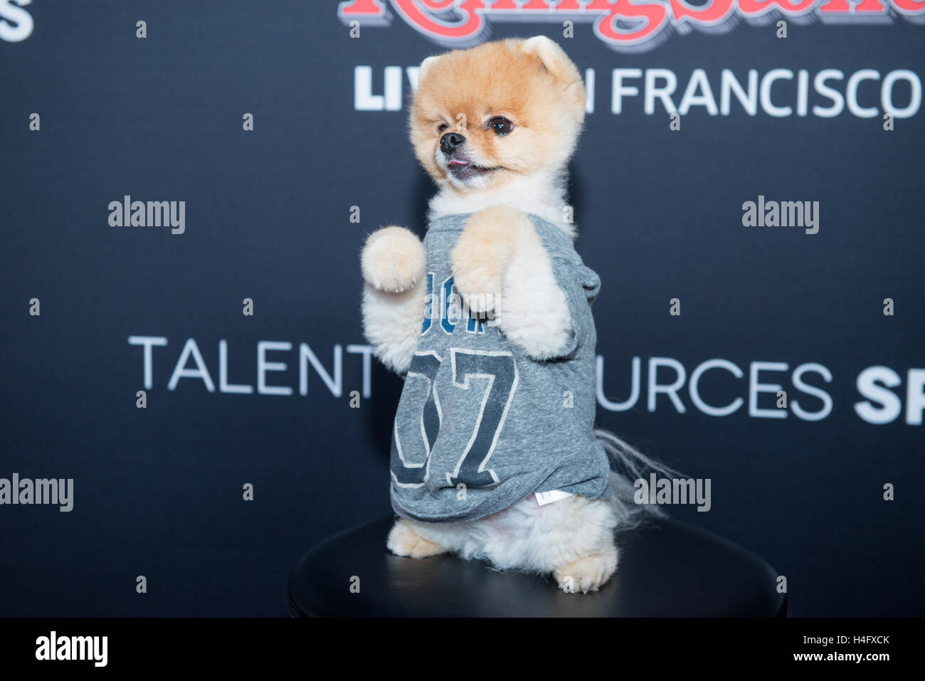 Jiff Pom poses on the red carpet at the Rolling Stone Super Bowl 50 ...