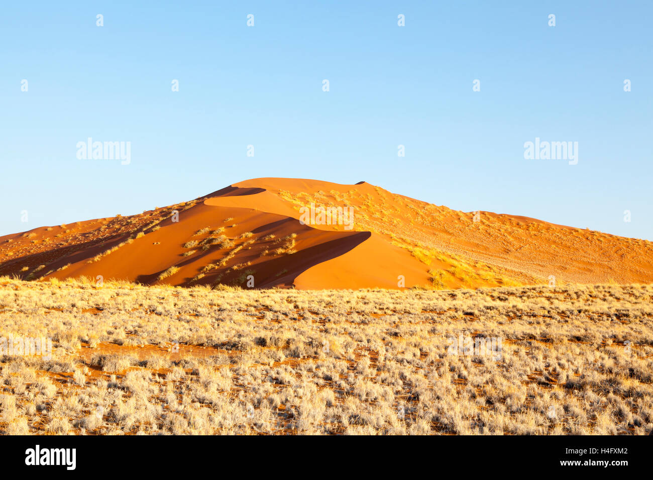 Namibia red sand dunes hi-res stock photography and images - Alamy