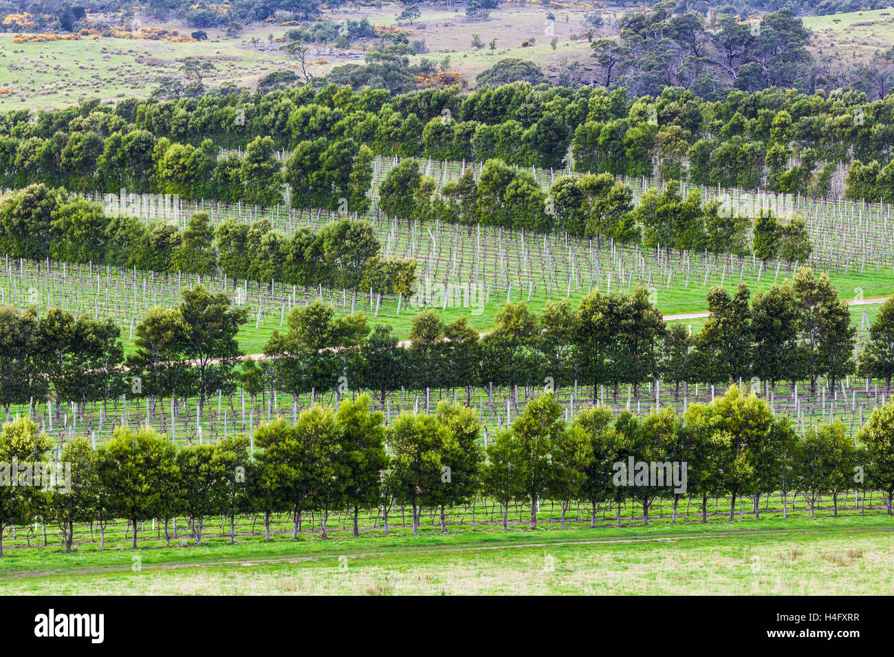 Devil's corner tasmania hi-res stock photography and images - Alamy