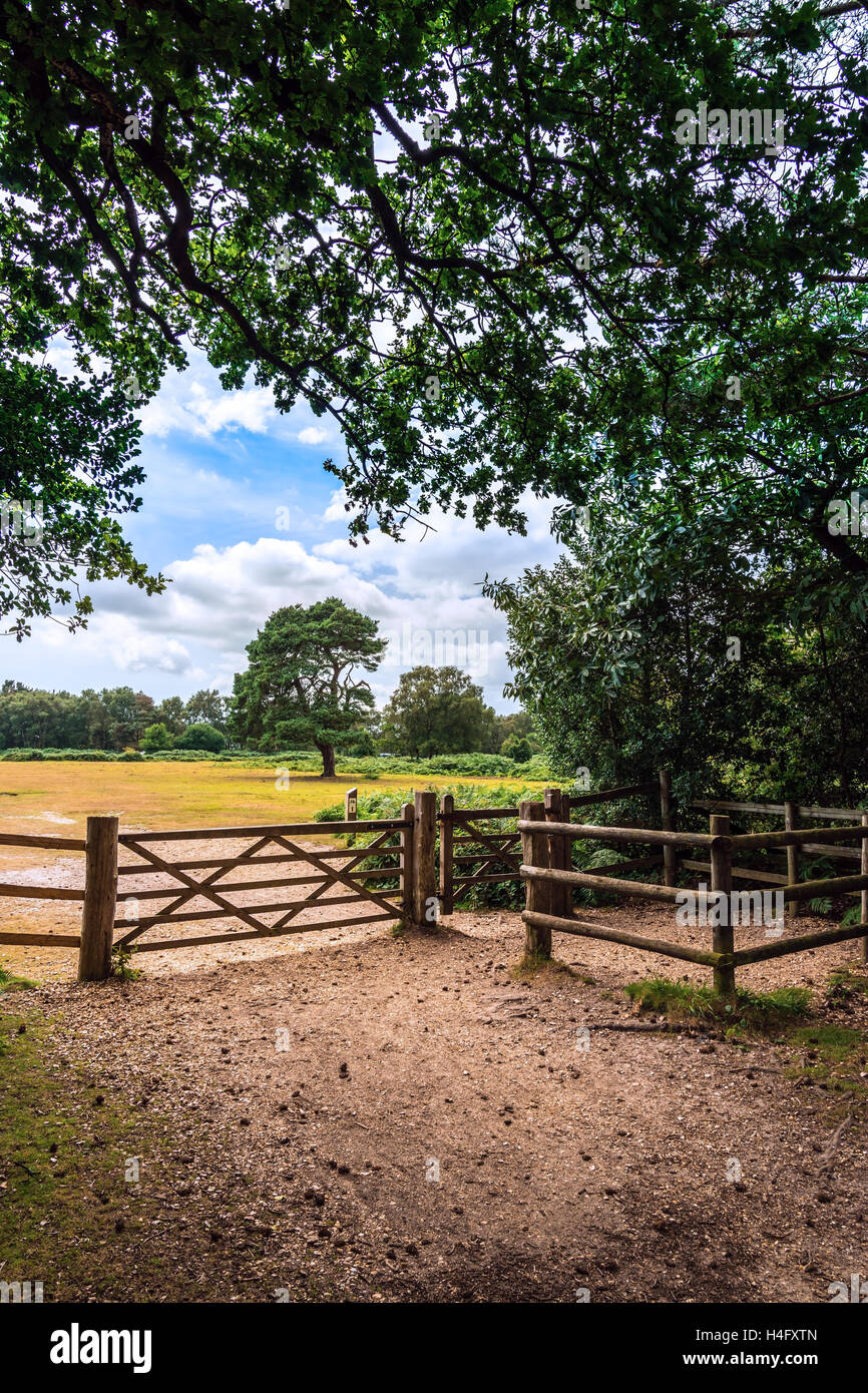 Tunnel tree and gate Stock Photo - Alamy