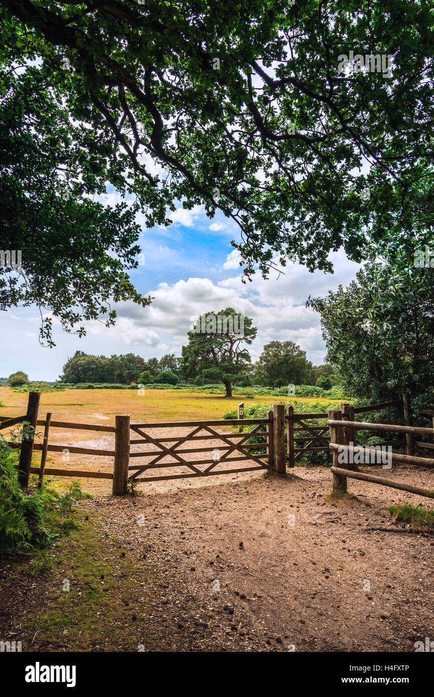 Tree and Gate Stock Photo - Alamy