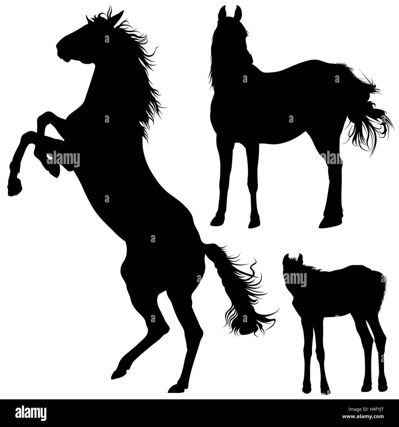 Horse silhouettes hi-res stock photography and images - Alamy