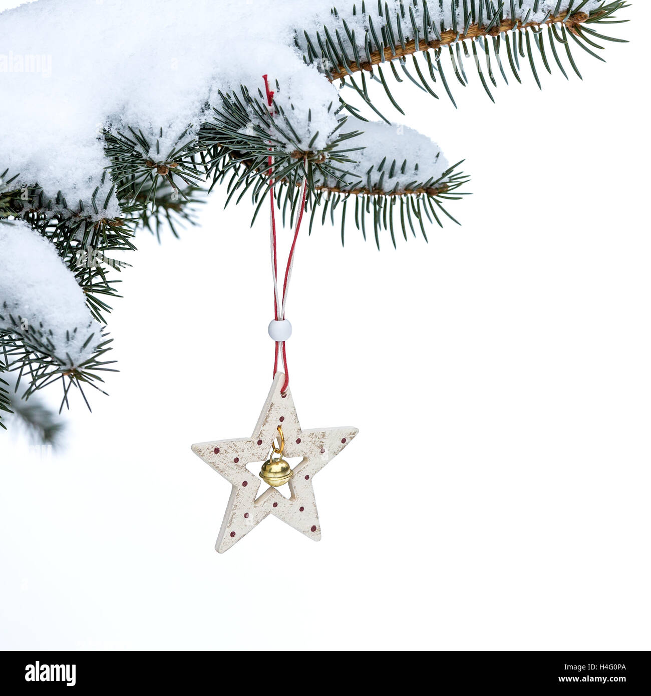 Christmas evergreen spruce tree and star Stock Photo - Alamy