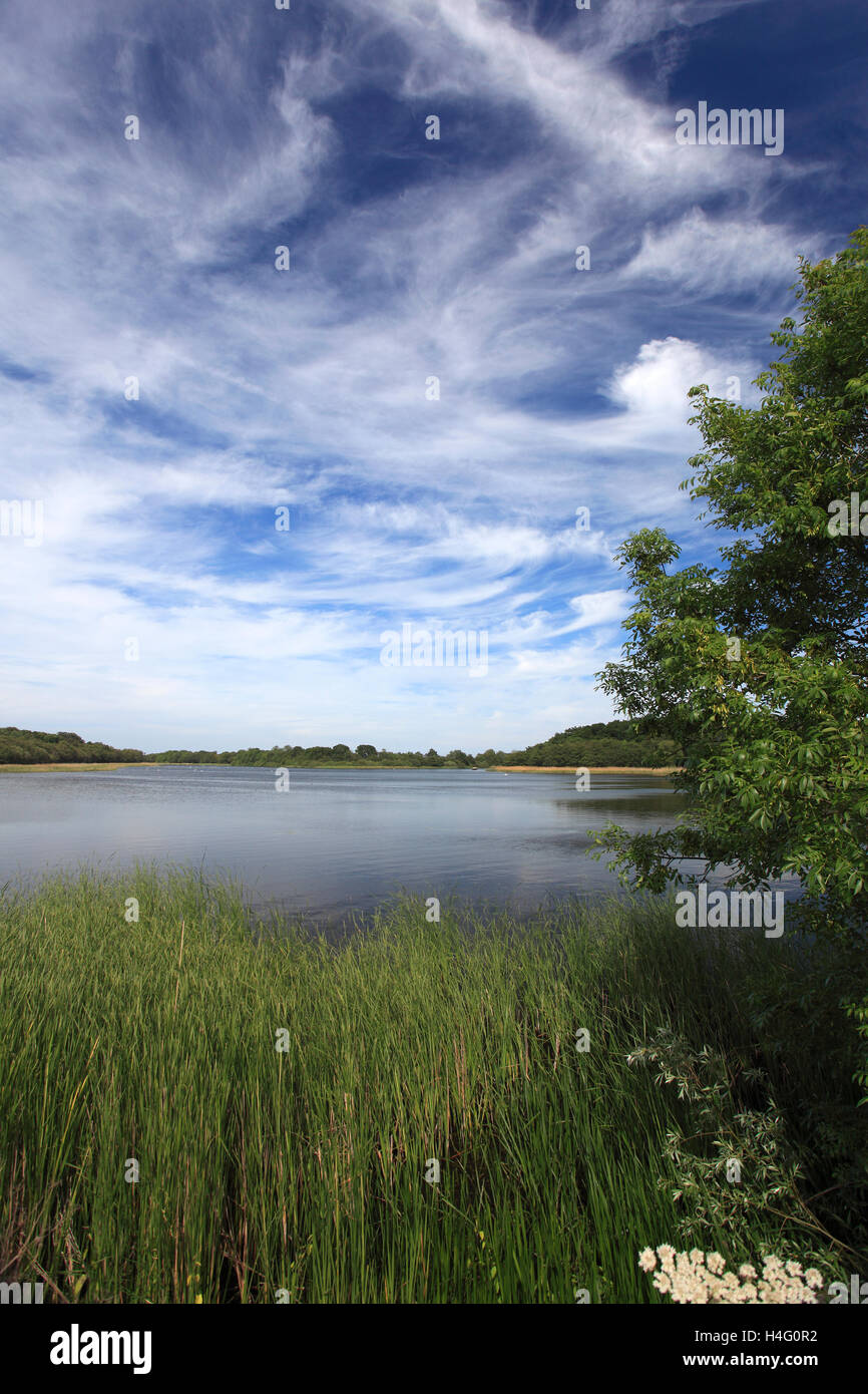 Filby hi-res stock photography and images - Alamy