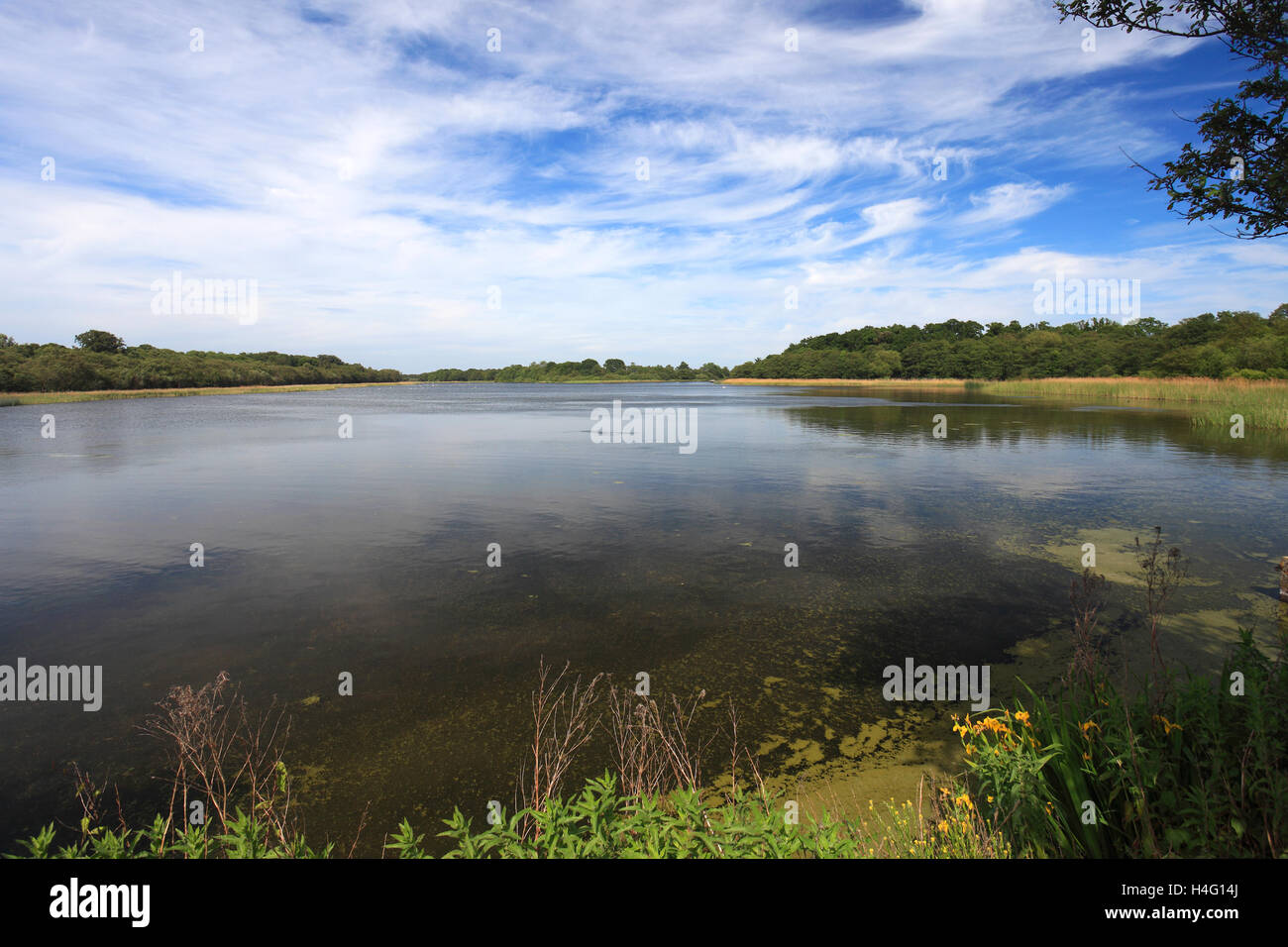 Filby hi-res stock photography and images - Alamy