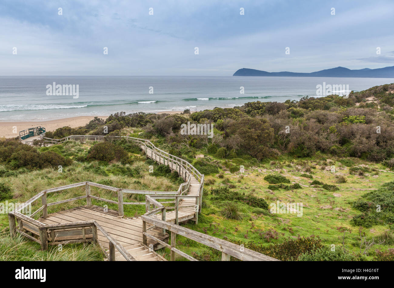 Boardwalk to the beach at The Neck lookout. Bruny Island, Tasmania ...