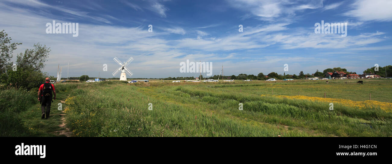Walker at Thurne windmill, river Thurne, Norfolk Broads National Park ...