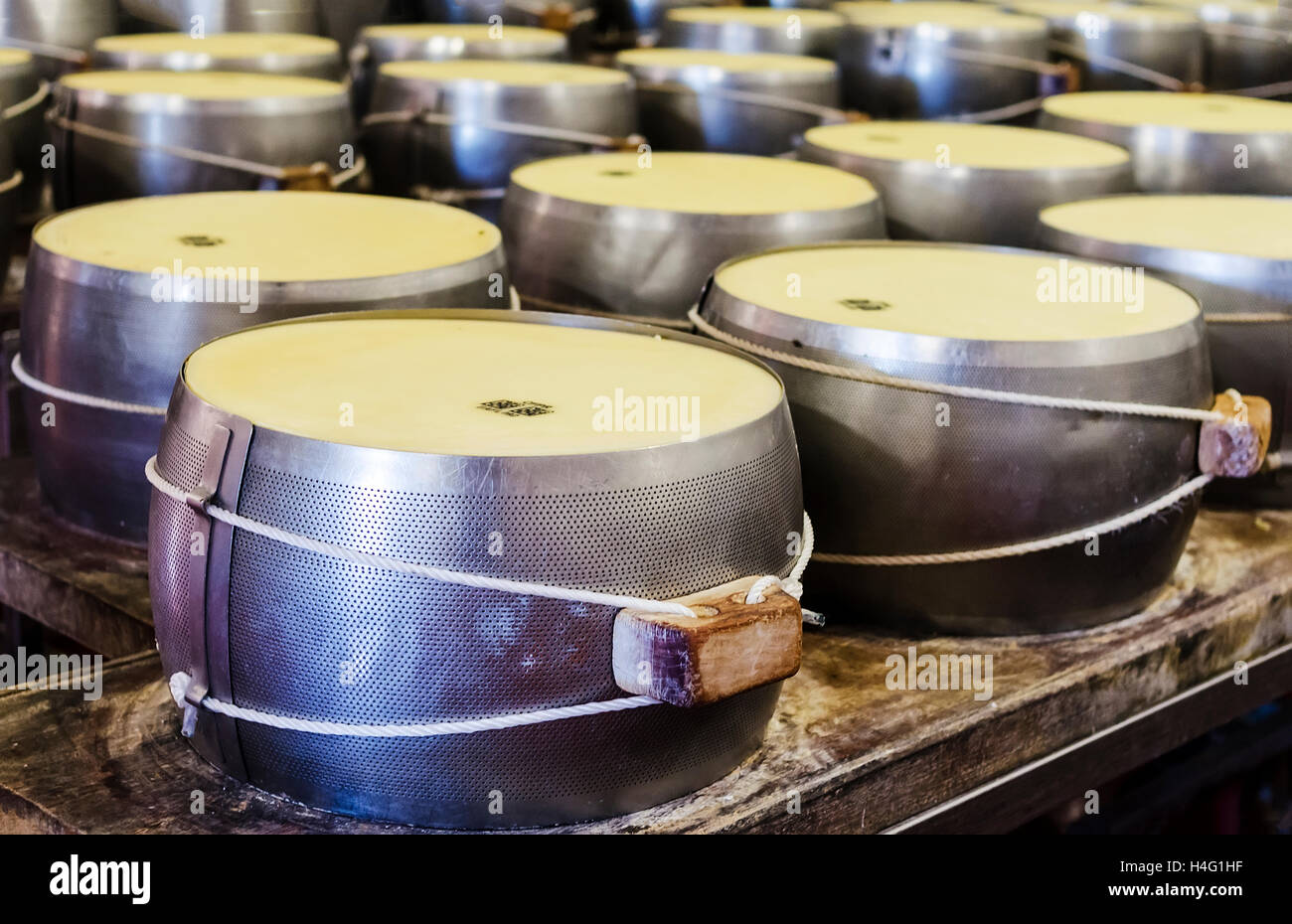Parmigiano reggiano cheese wheel hi-res stock photography and images ...