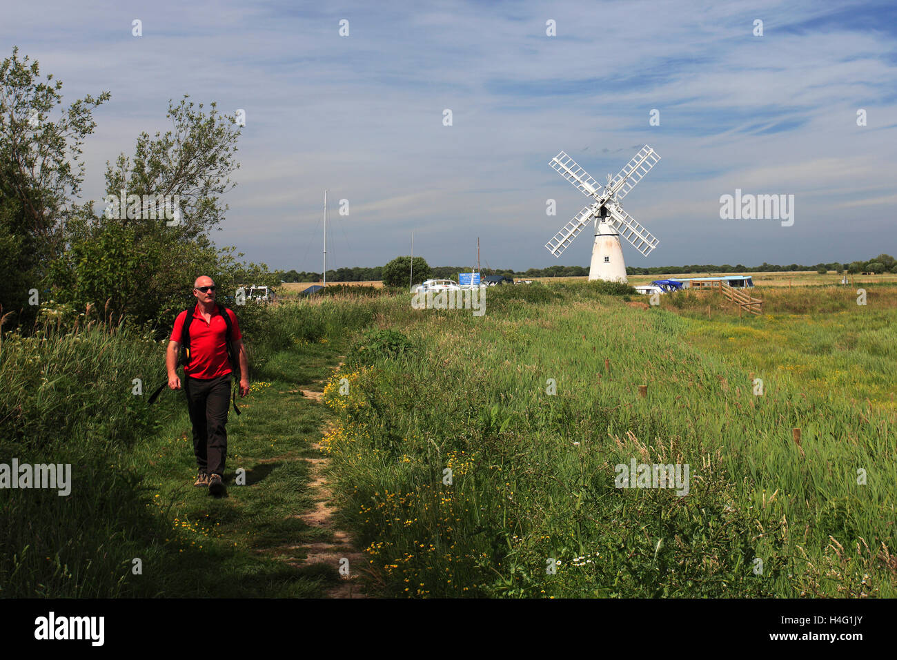 Walker at Thurne windmill, river Thurne, Norfolk Broads National Park ...
