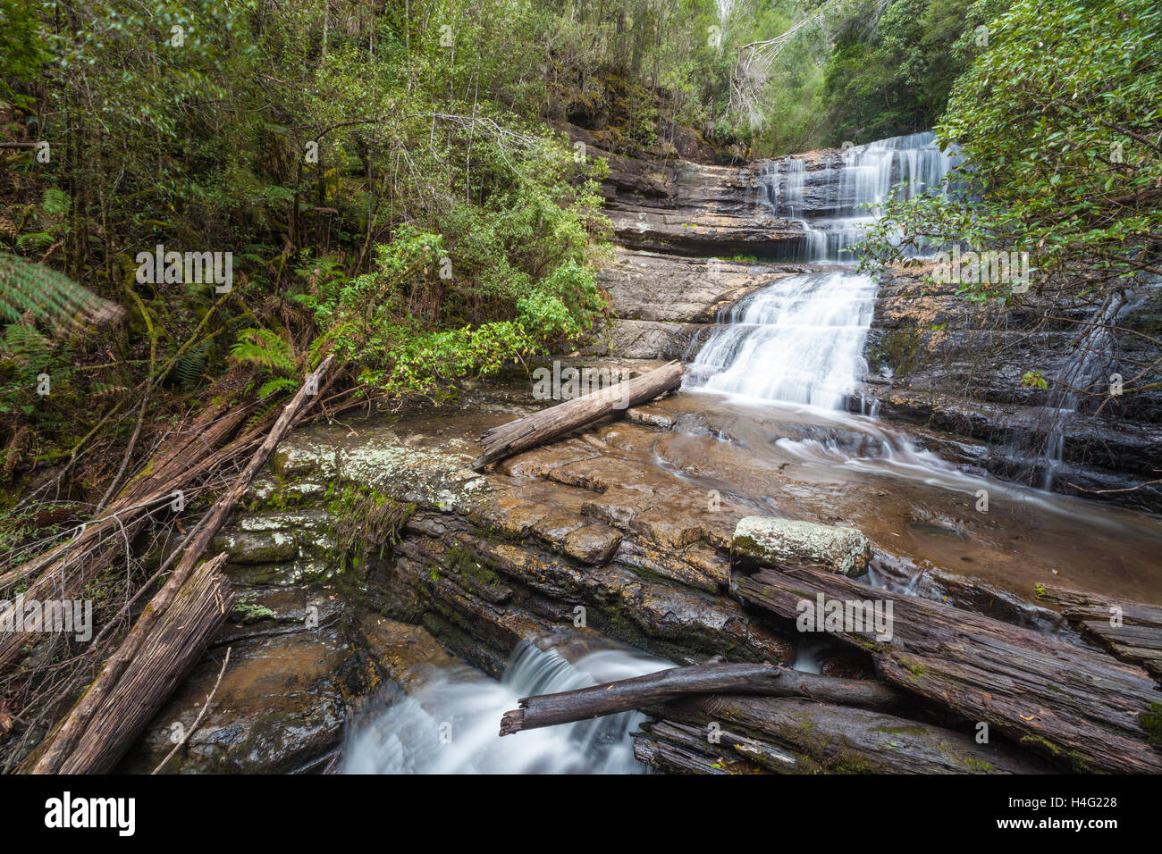 Moss lady hi-res stock photography and images - Alamy