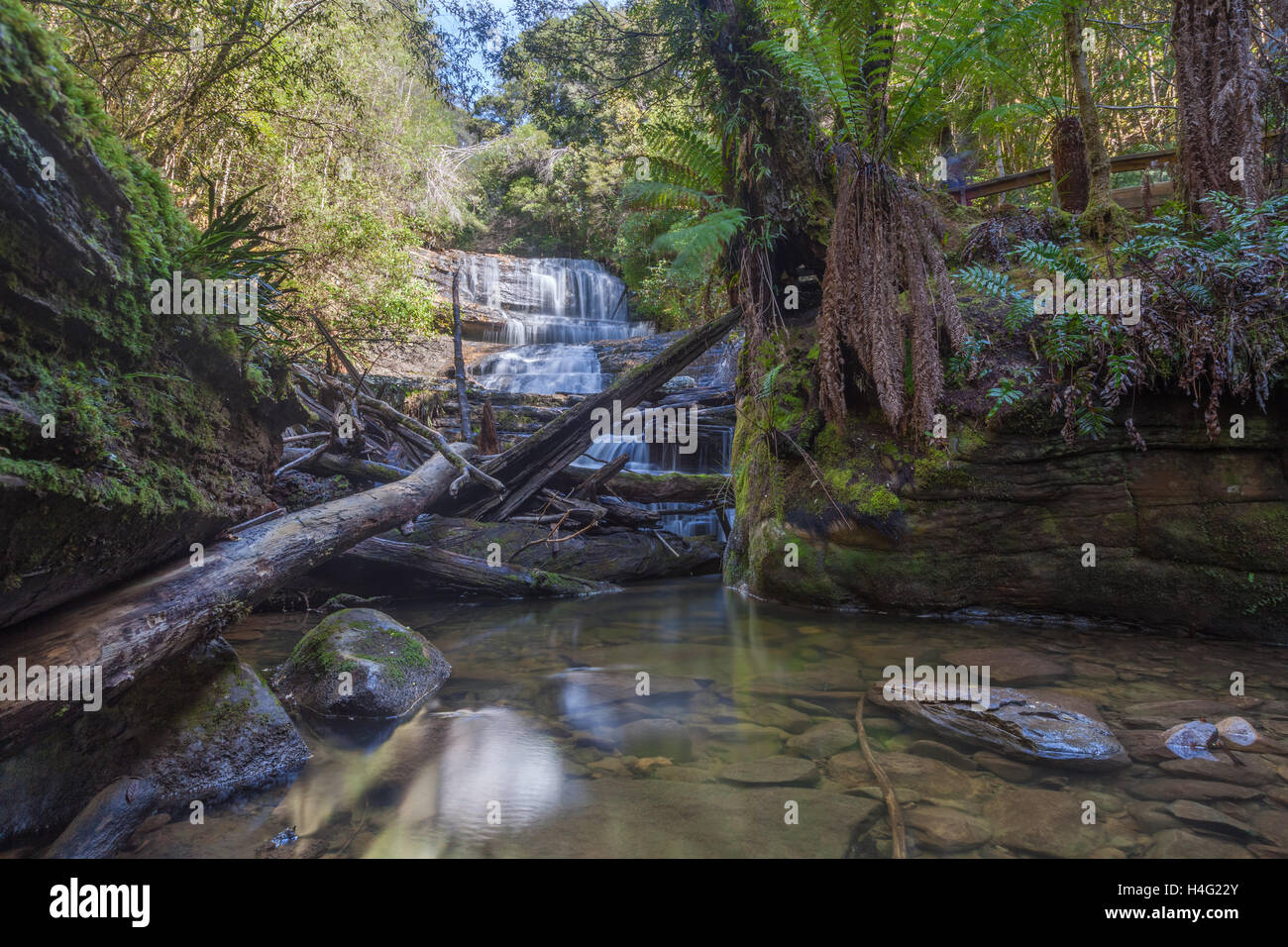 Moss lady hi-res stock photography and images - Alamy
