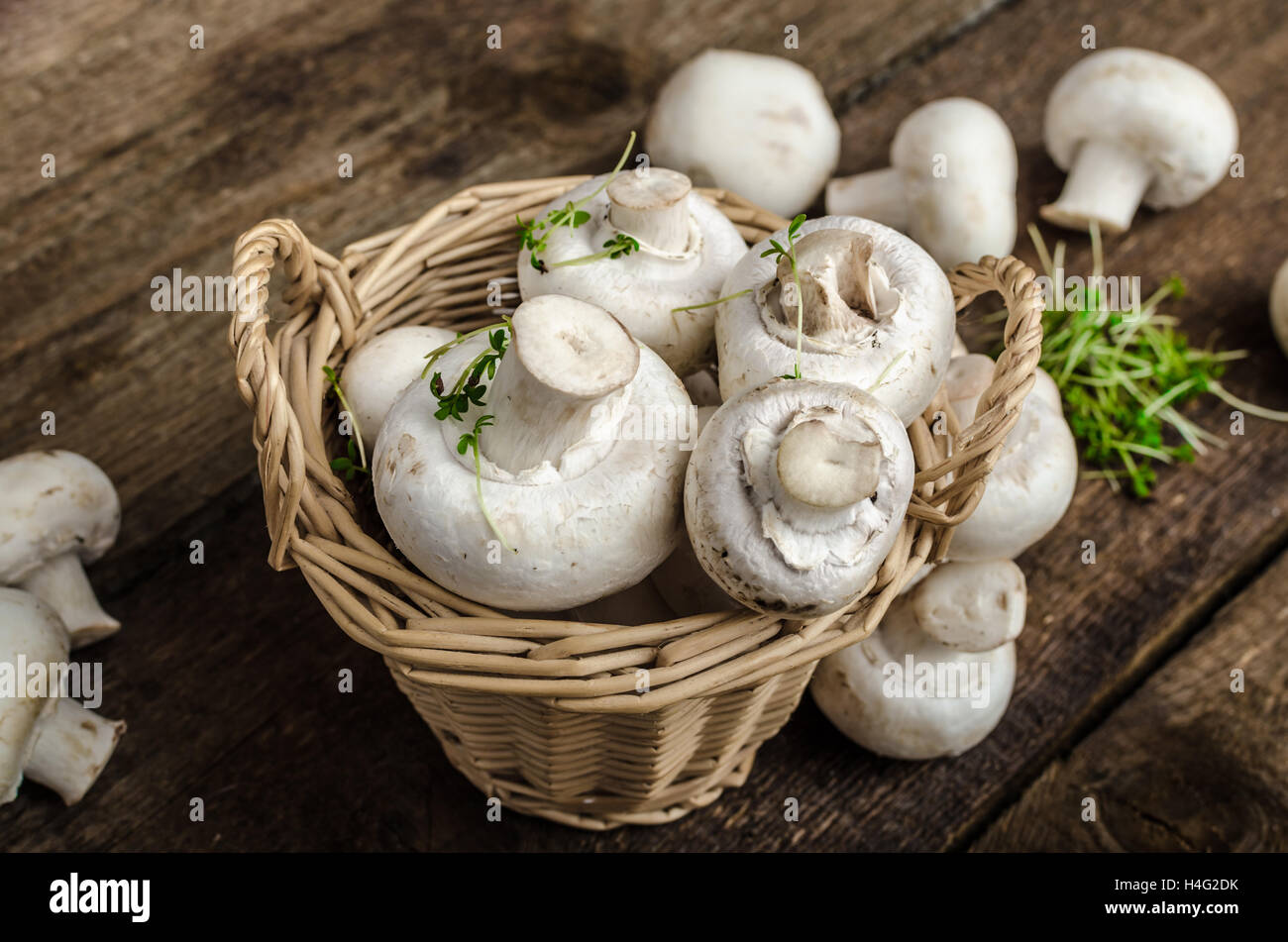 Mushrooms raw, fresh and bio, simple product photo Stock Photo - Alamy