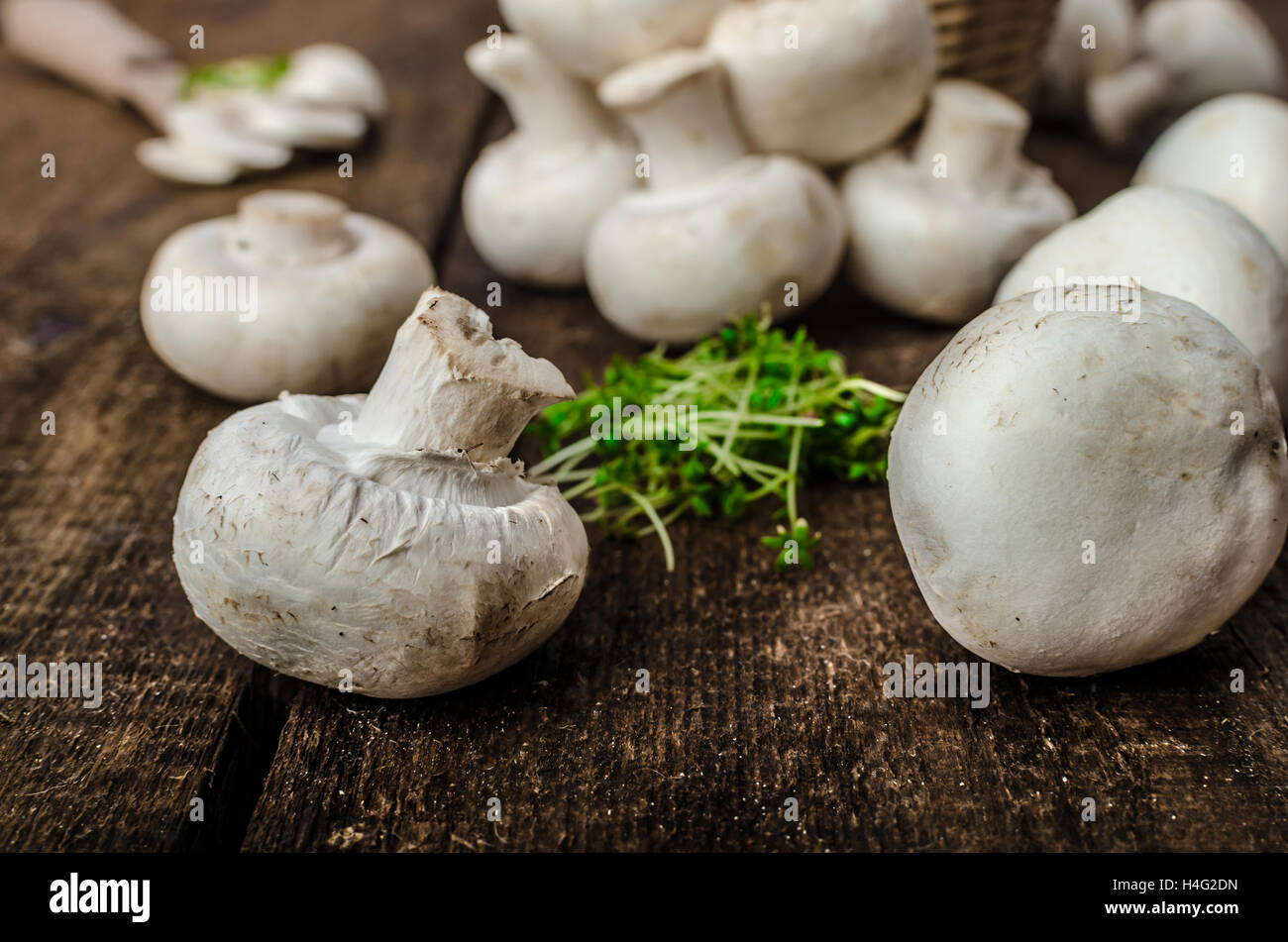 Mushrooms raw, fresh and bio, simple product photo Stock Photo - Alamy
