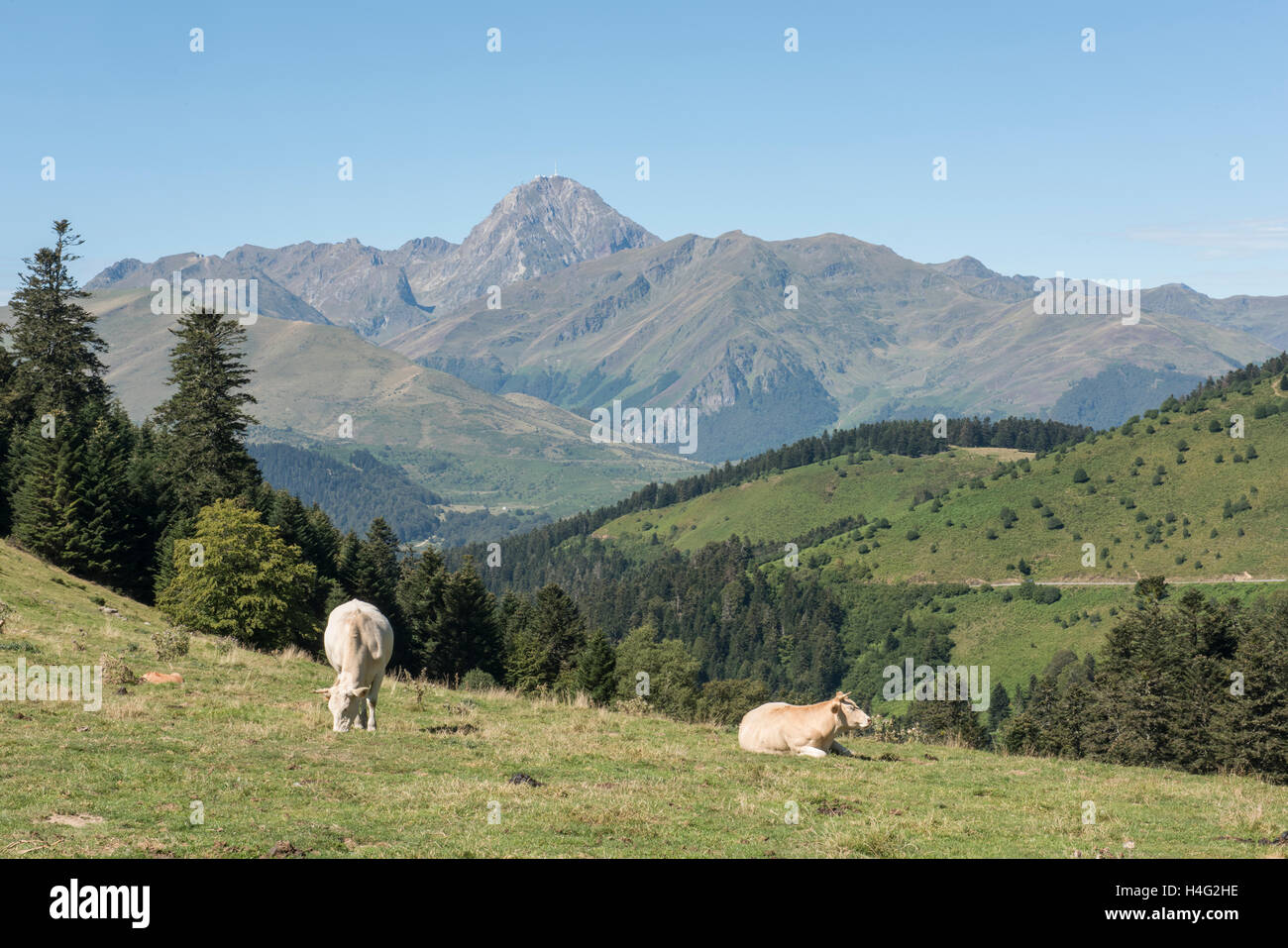 Col daspin hi-res stock photography and images - Alamy