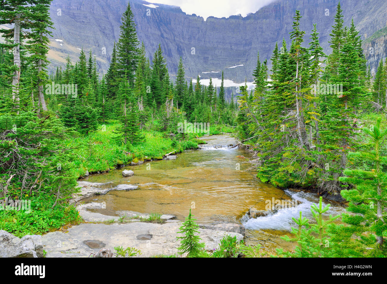 alpine stream by the Iceberg Lake glacier in Glacier National Park in ...