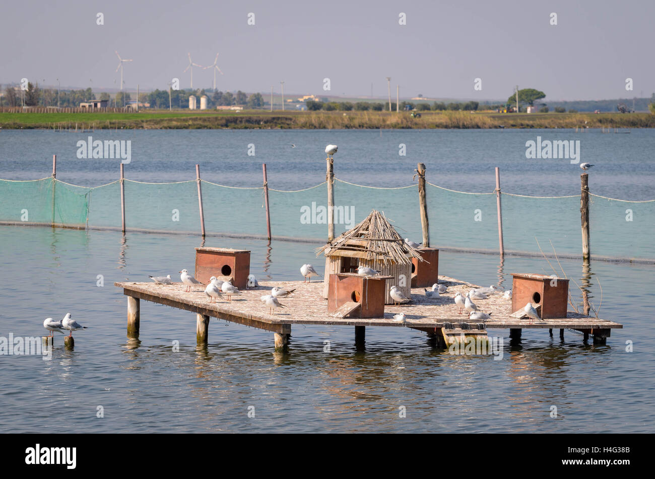 Lesina marina hi-res stock photography and images - Alamy