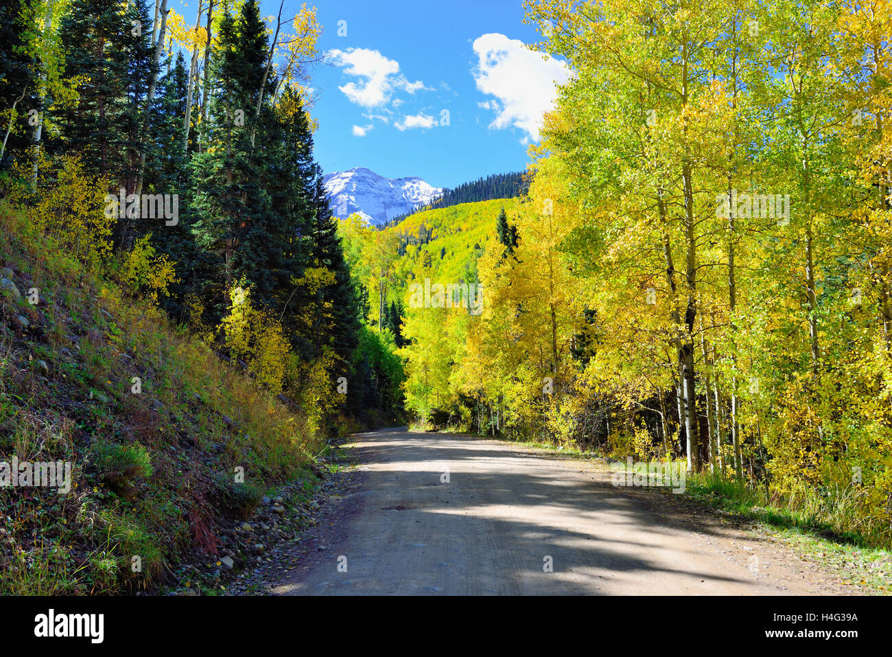 county rural road through the alpine scenery of Colorado during foliage ...