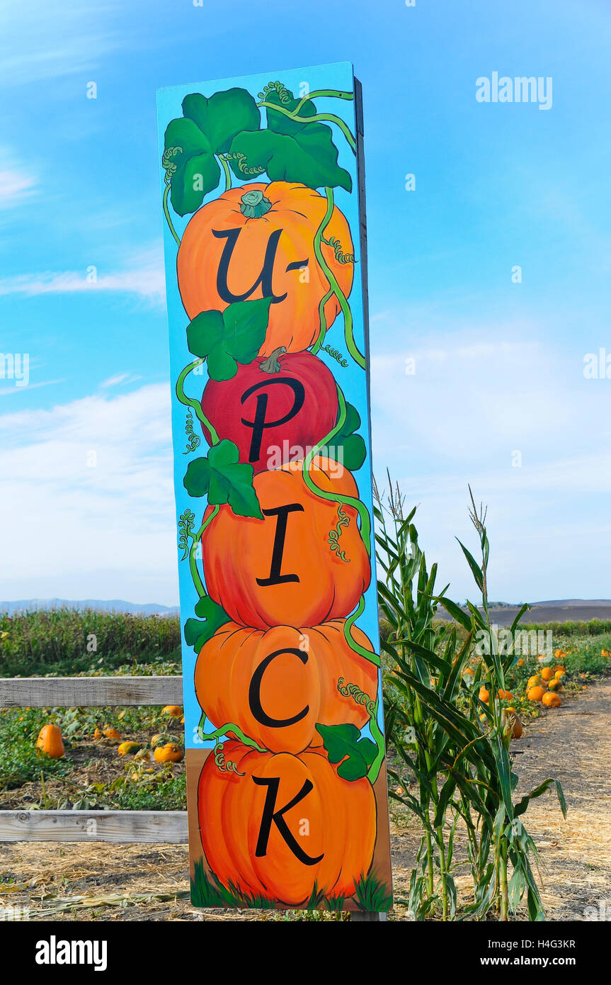 Pumpkin patch sign hi-res stock photography and images - Alamy