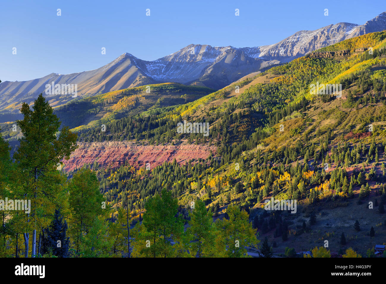 snow covered mountains and yellow aspen during foliage season Stock ...